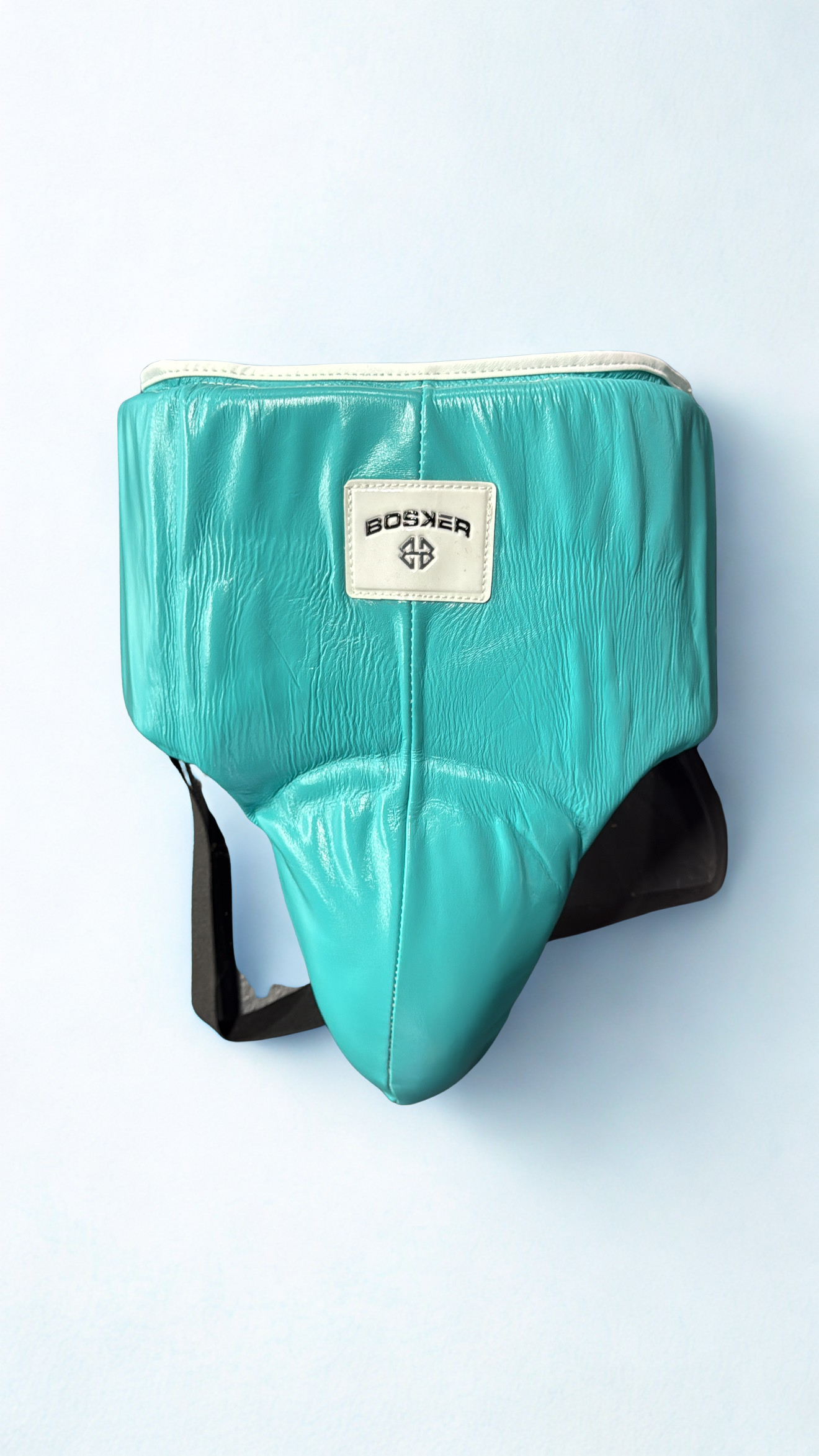 Bosker Groin Guard -Aqua – The Combat Store | Premium Combat Gear